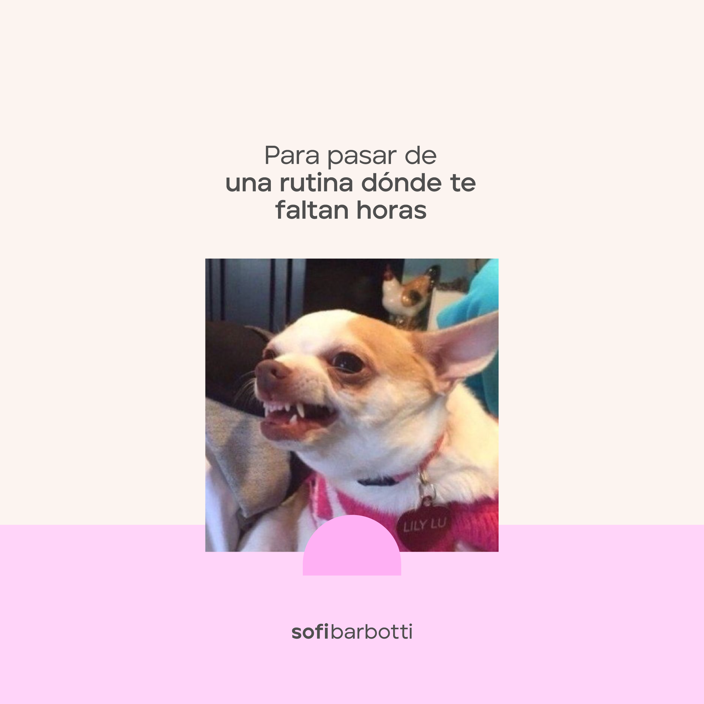 Masterclass | Sofi Barbotti